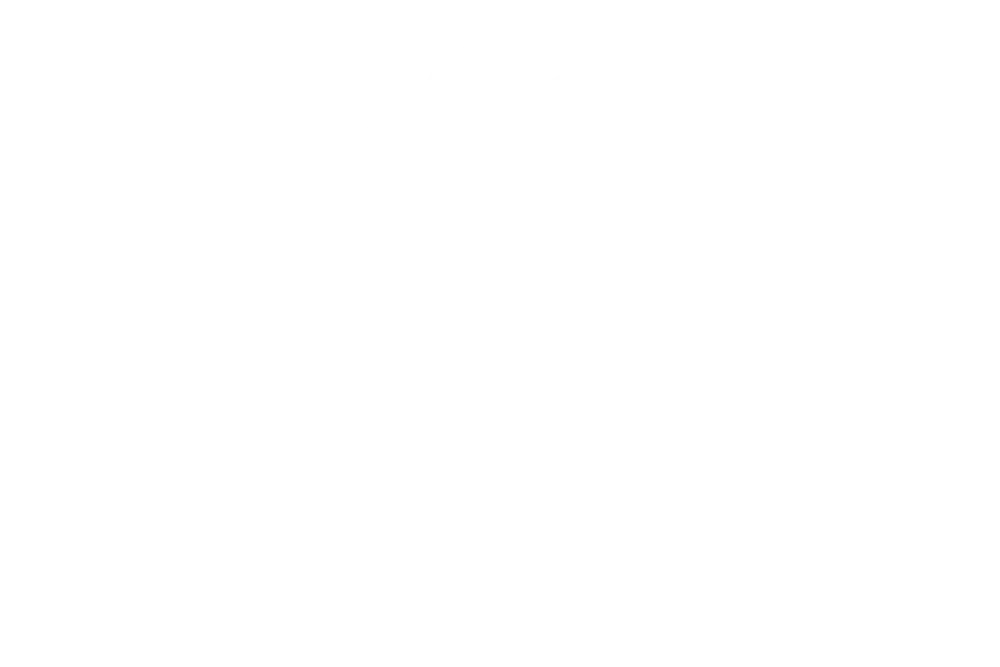 Event Planning Essentials: From Catering to Decor - Elevated Taste Catering